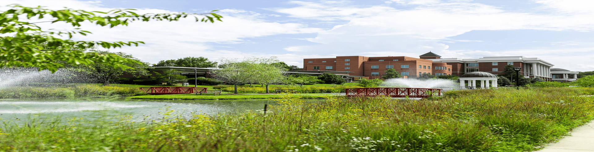 Shenandoah University - Fees, Scholarships & More
