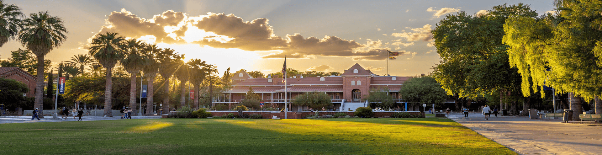 University of Arizona - Fees, Scholarships & More
