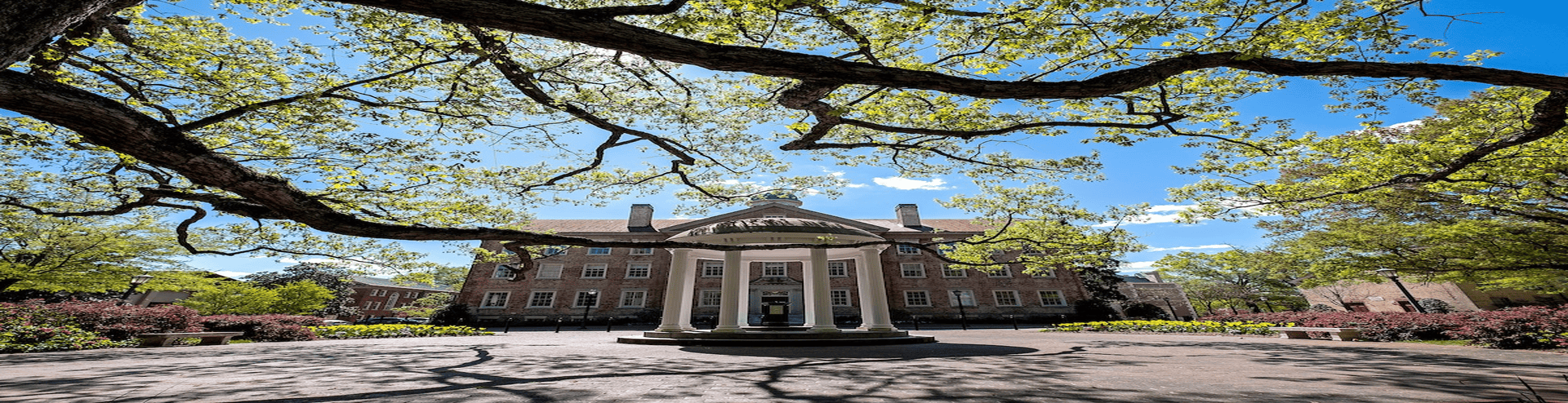University of North Carolina - Fees, Scholarships & More