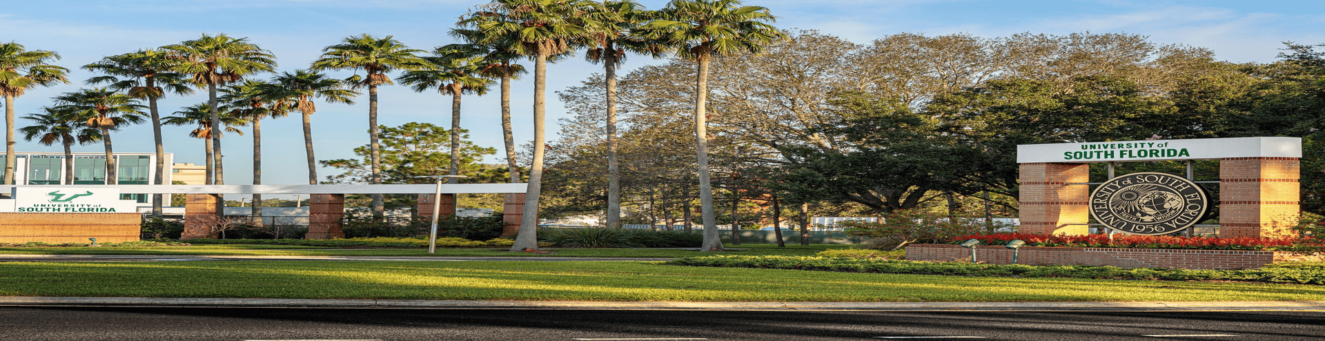 University of South Florida - Fees, Scholarships & More